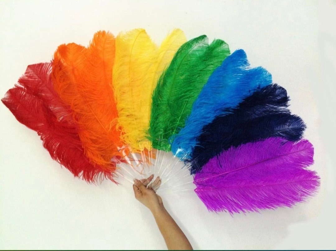 Rainbow Colored,32x18 Inch80x45cm Large Feather Fan,burlesque Dance ...