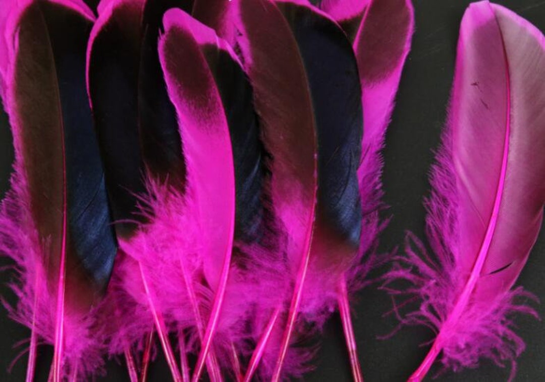 10pcs Hot Pink Goose Feather for Wedding Table Centerpiece - Etsy