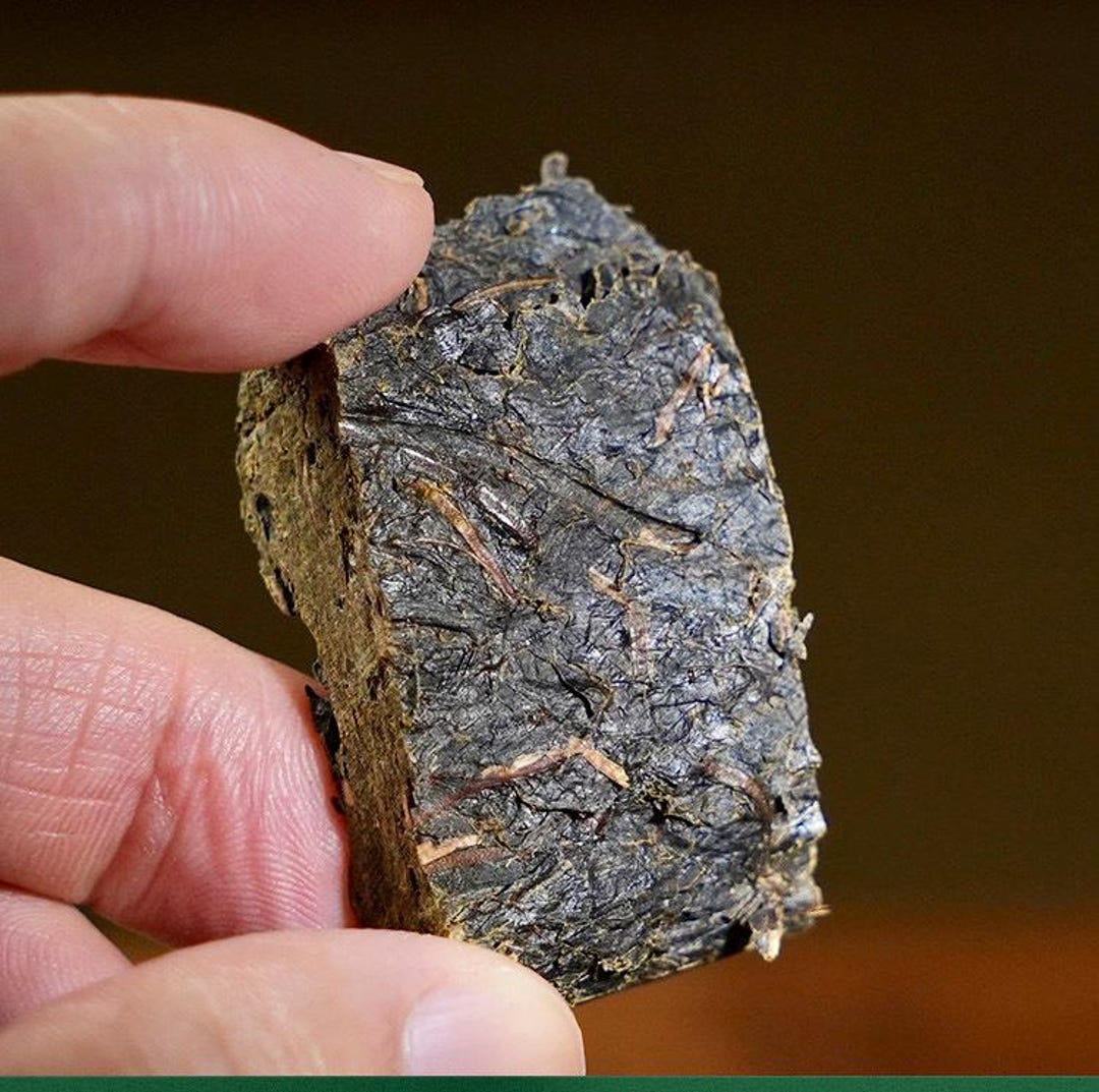 Mulan Dew Anhua Dark Tea | 2019 Muyangjie Wild Flower Brick Tea | Old ...