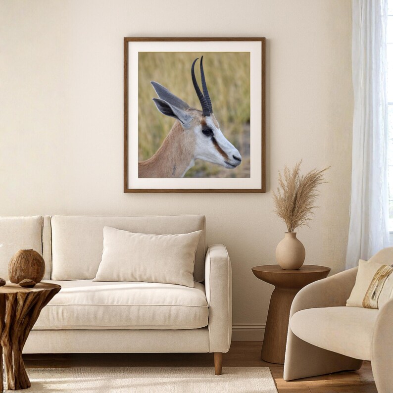 Springbok Wildlife Photography Print | African Wildlife Wall Art ...