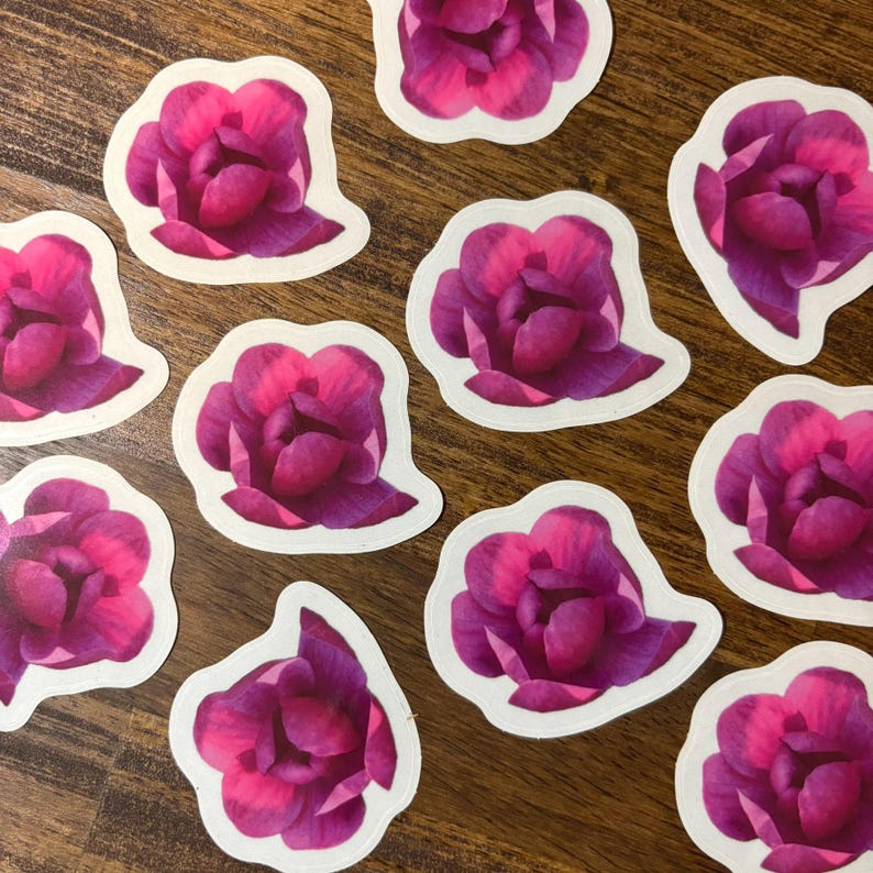 Saucer Magnolia Flower Sticker (transparent Backing, Garden Bloom ...
