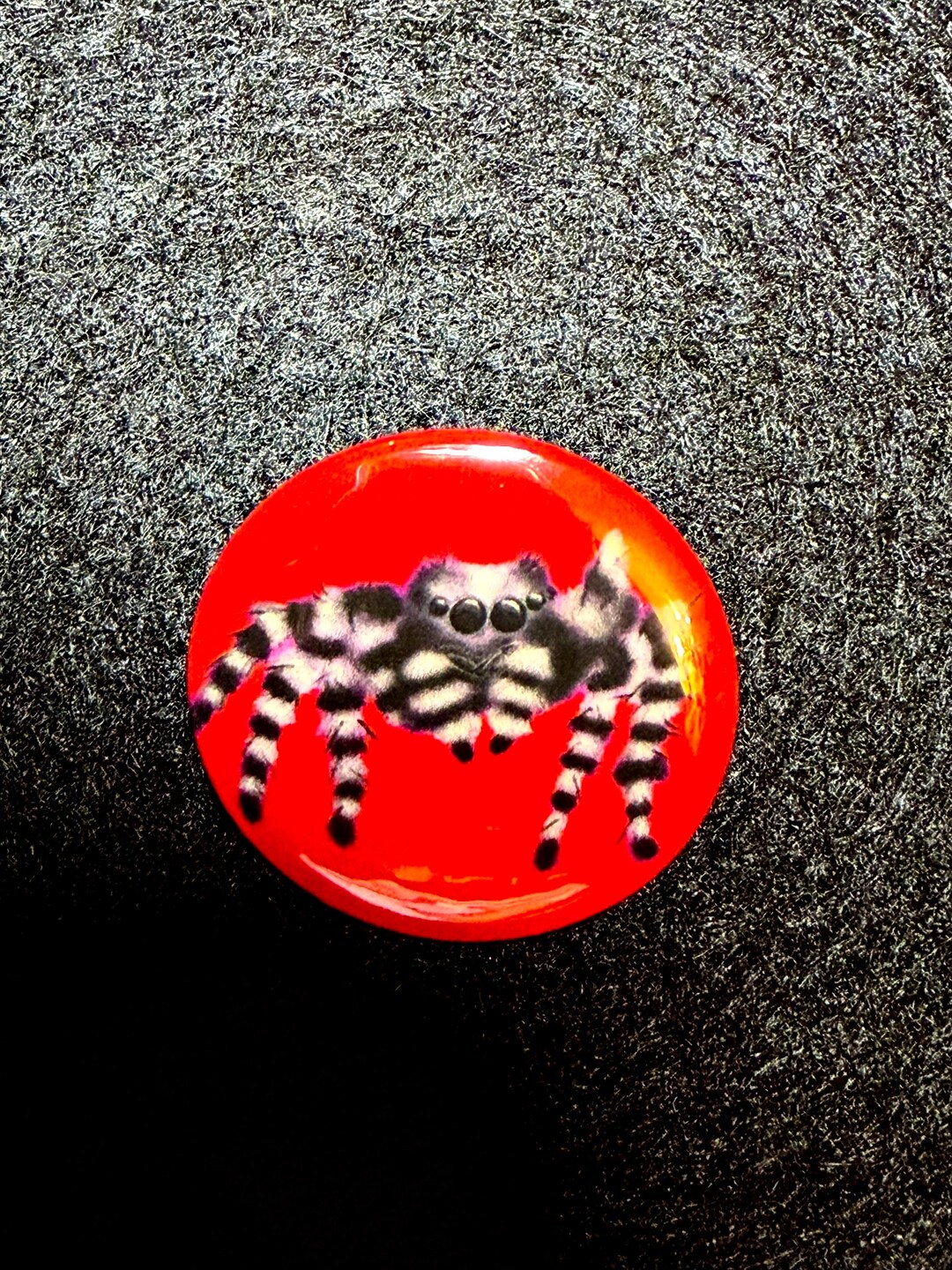 Jumping Spider Pins | Colorful Backgrounds and Creepy Cute Spiders! - Etsy