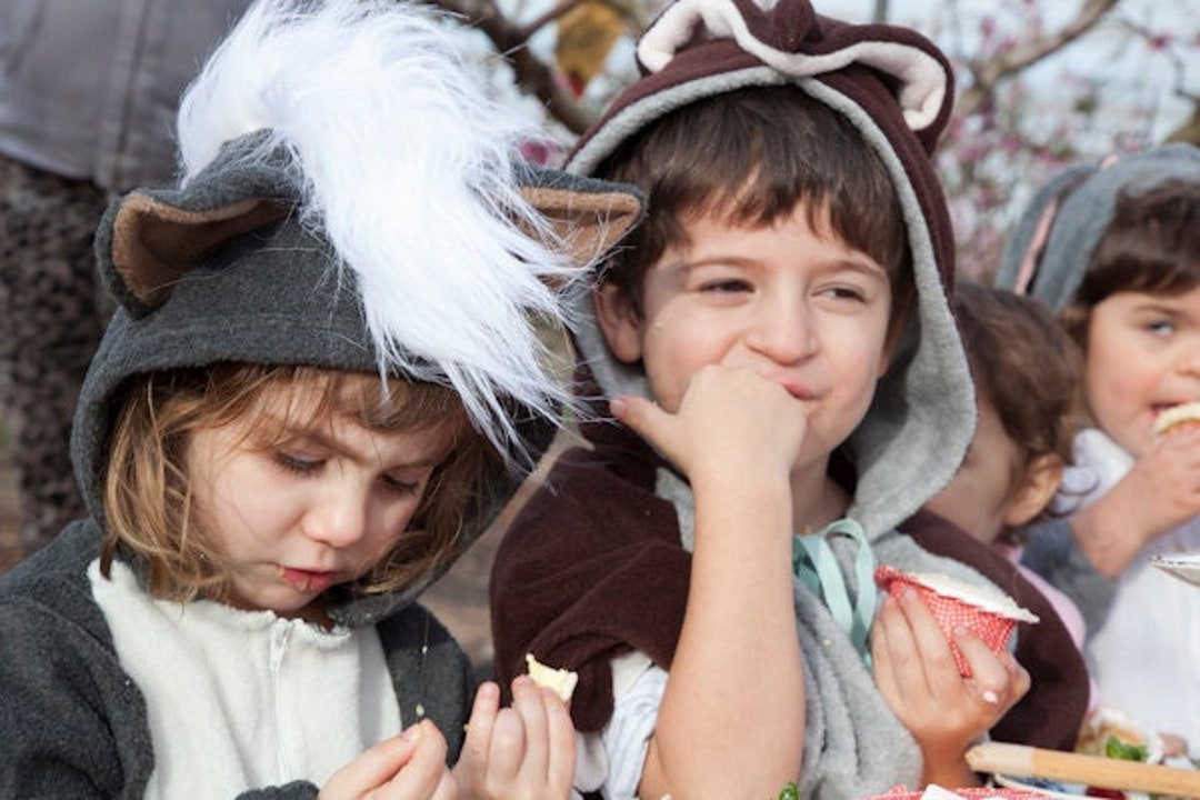 Skunk Jumpsuit Costume / Halloween Skunk Costume / Kids&babies Costume ...