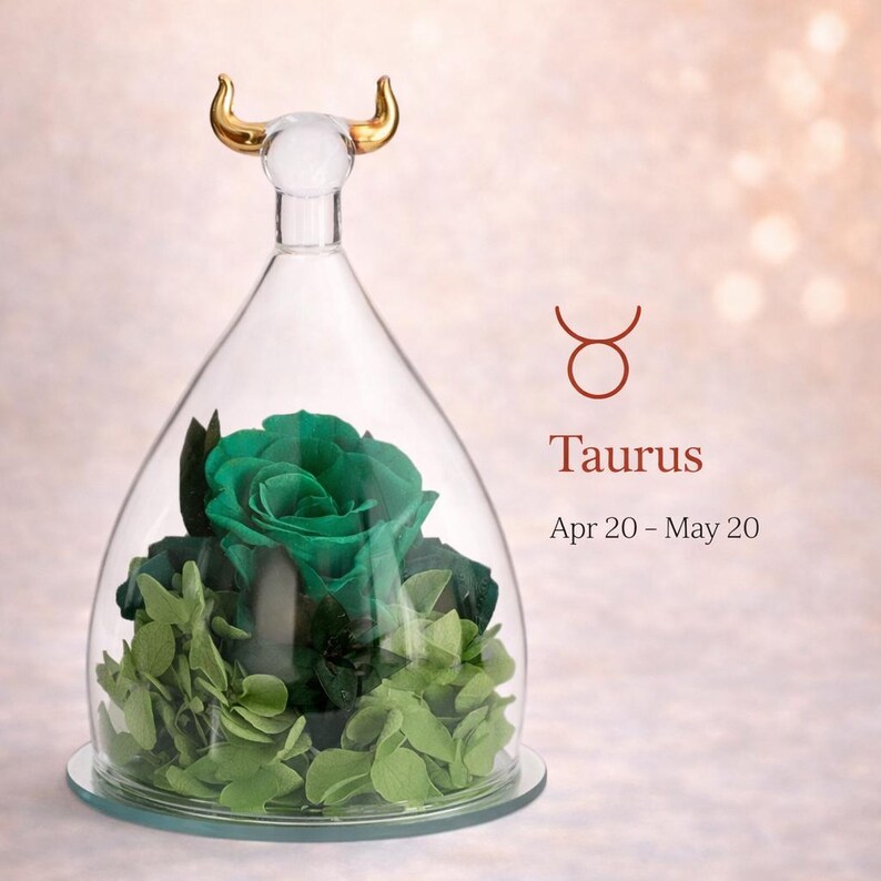 Taurus Green Preserved Rose Glass Dome – Handmade Zodiac Gift - Etsy