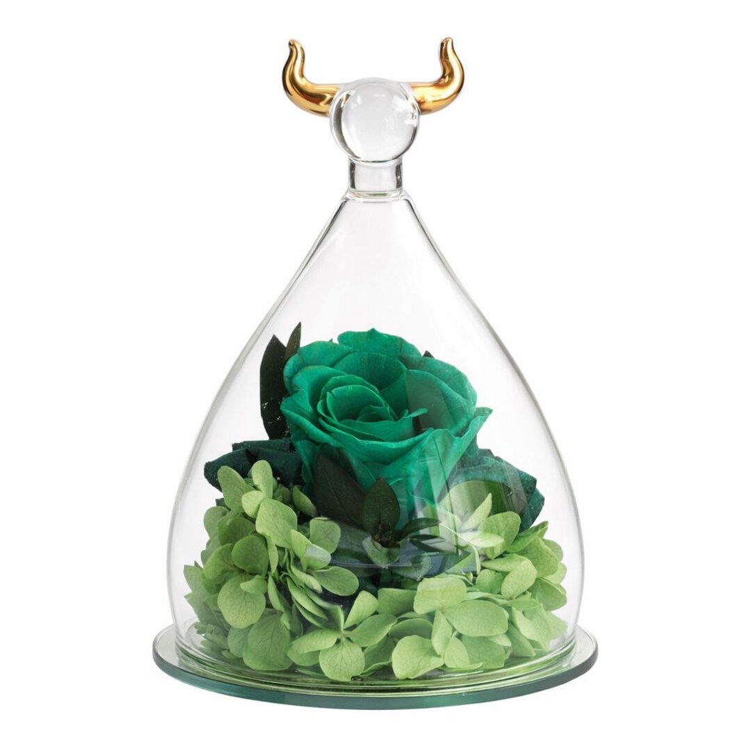 Taurus Green Preserved Rose Glass Dome – Handmade Zodiac Gift - Etsy