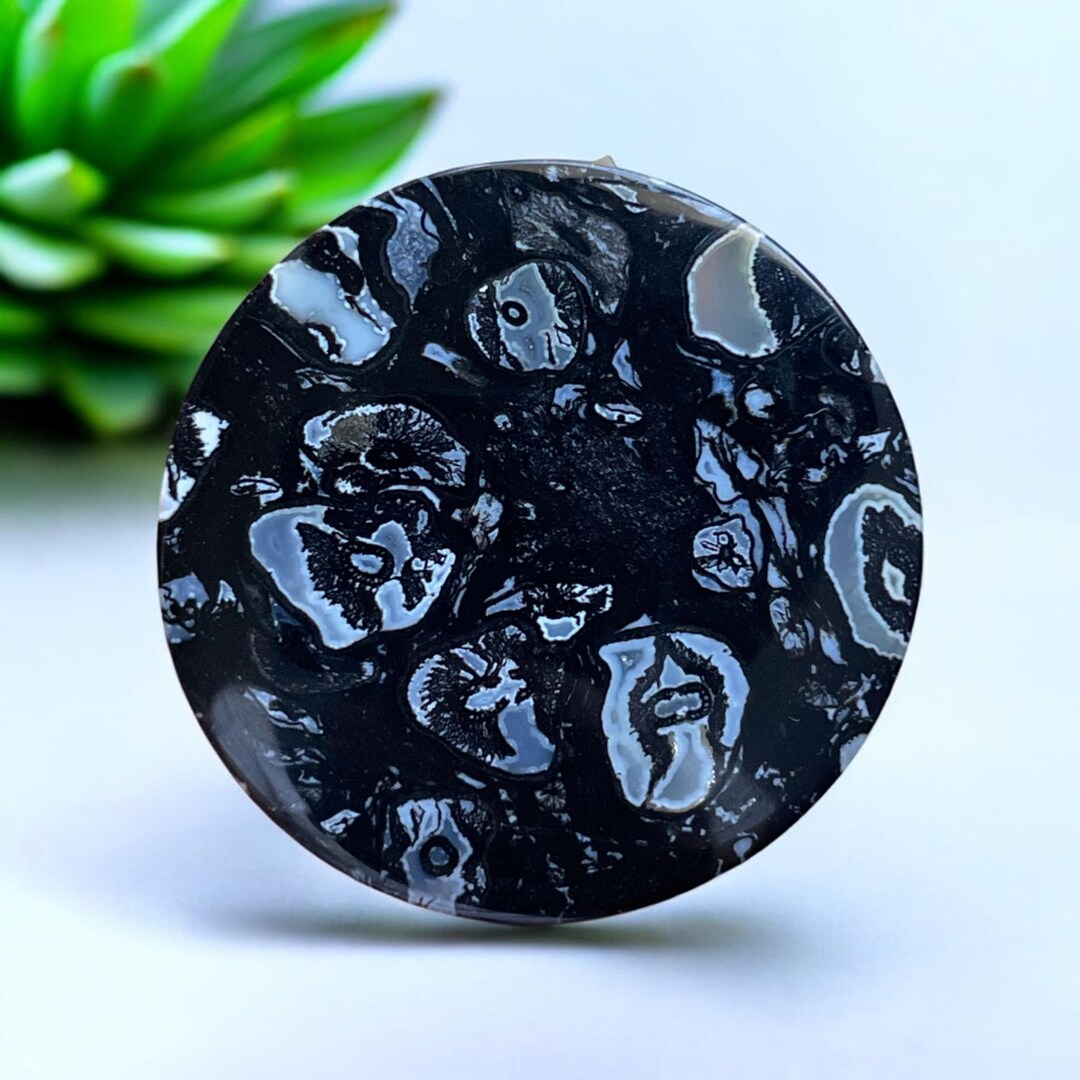 Palm Root Eye Fossil Stone – 38mm Orbicular Eye Pattern Cabochon, Black ...