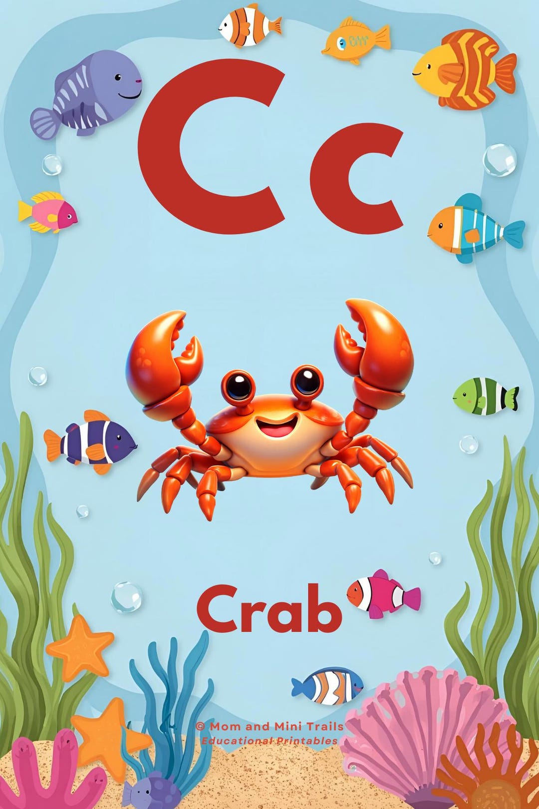 A-Z Sea Animals Alphabet Flashcards | Printable ABC Learning Cards ...