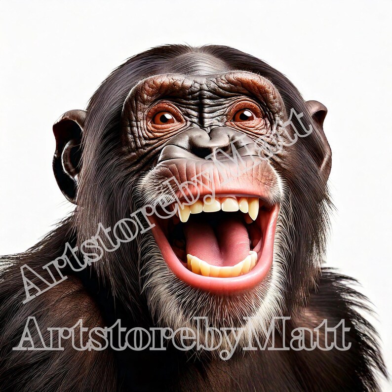 Funny Laughing Monkeys - Digital Download - 4 Images as JPEG Files - 1: ...