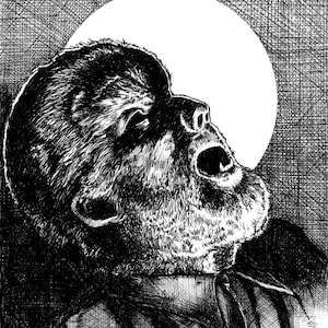 The Wolfman Original Pen and Ink Drawing 6"x8" - Etsy