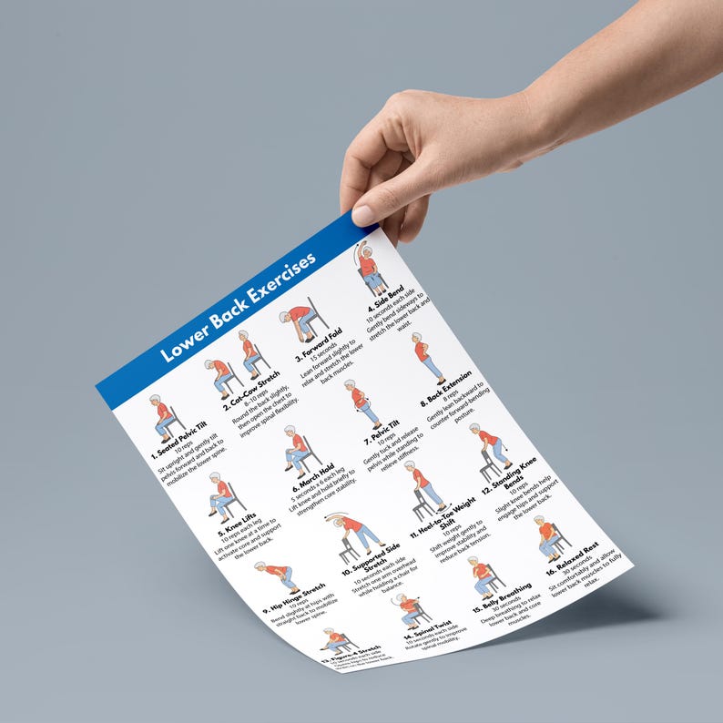 Lower Back Pain Relief, Printable Chair Exercises for Seniors, Seating ...