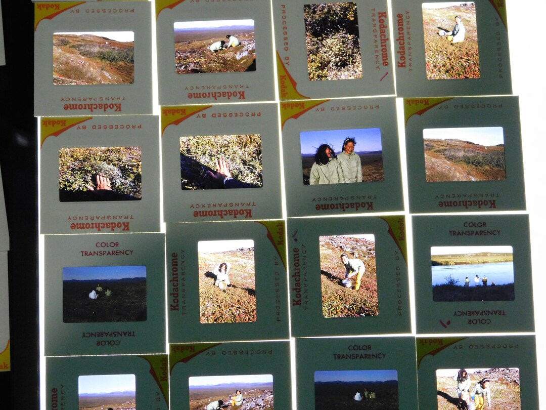 1970s Togiak Alaska Yupik Eskimo Berry Picking Lot 37 Color Photo Slide ...