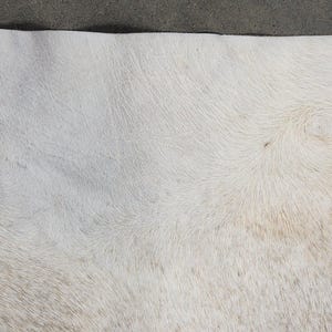 Vintage African Blesbok Antelope Hide Back Skin Tanned Leather Fur for ...