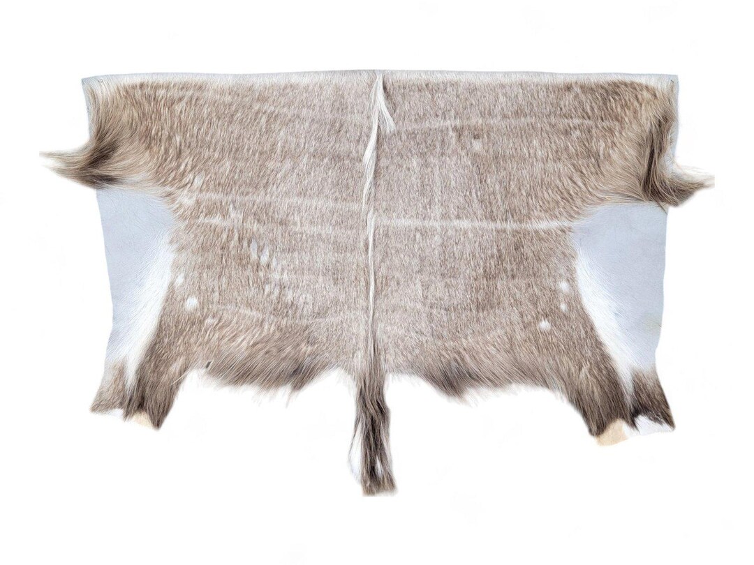 Vintage African Kudu Hide Back Skin Tanned Leather Fur for Wall Hanging ...