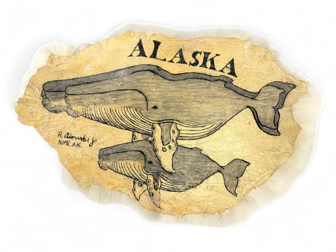 Nome Alaska Inuit Eskimo Art Pen Ink Drawing Whales on Rabbit Hide Fur ...