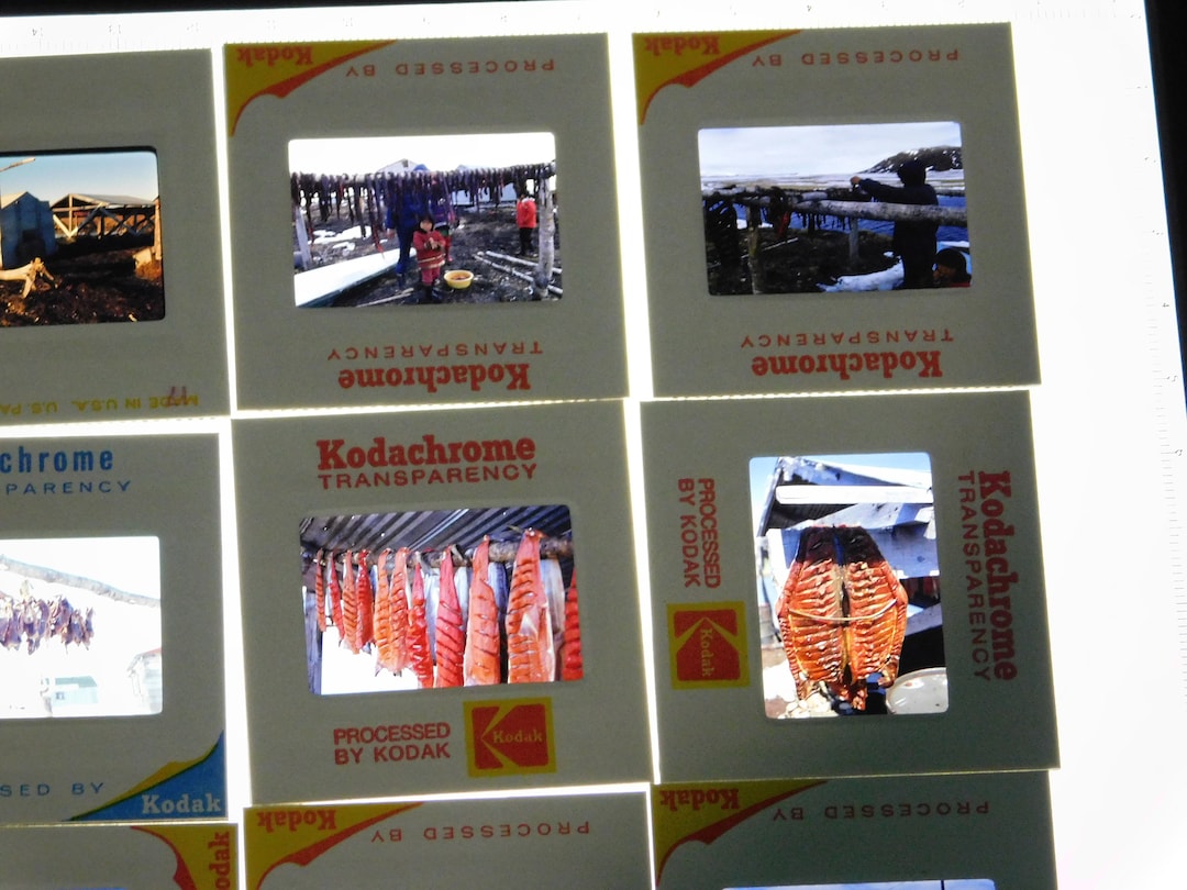 1970s Togiak Alaska Village Salmon Fish Drying Racks Lot 38 Color Photo ...