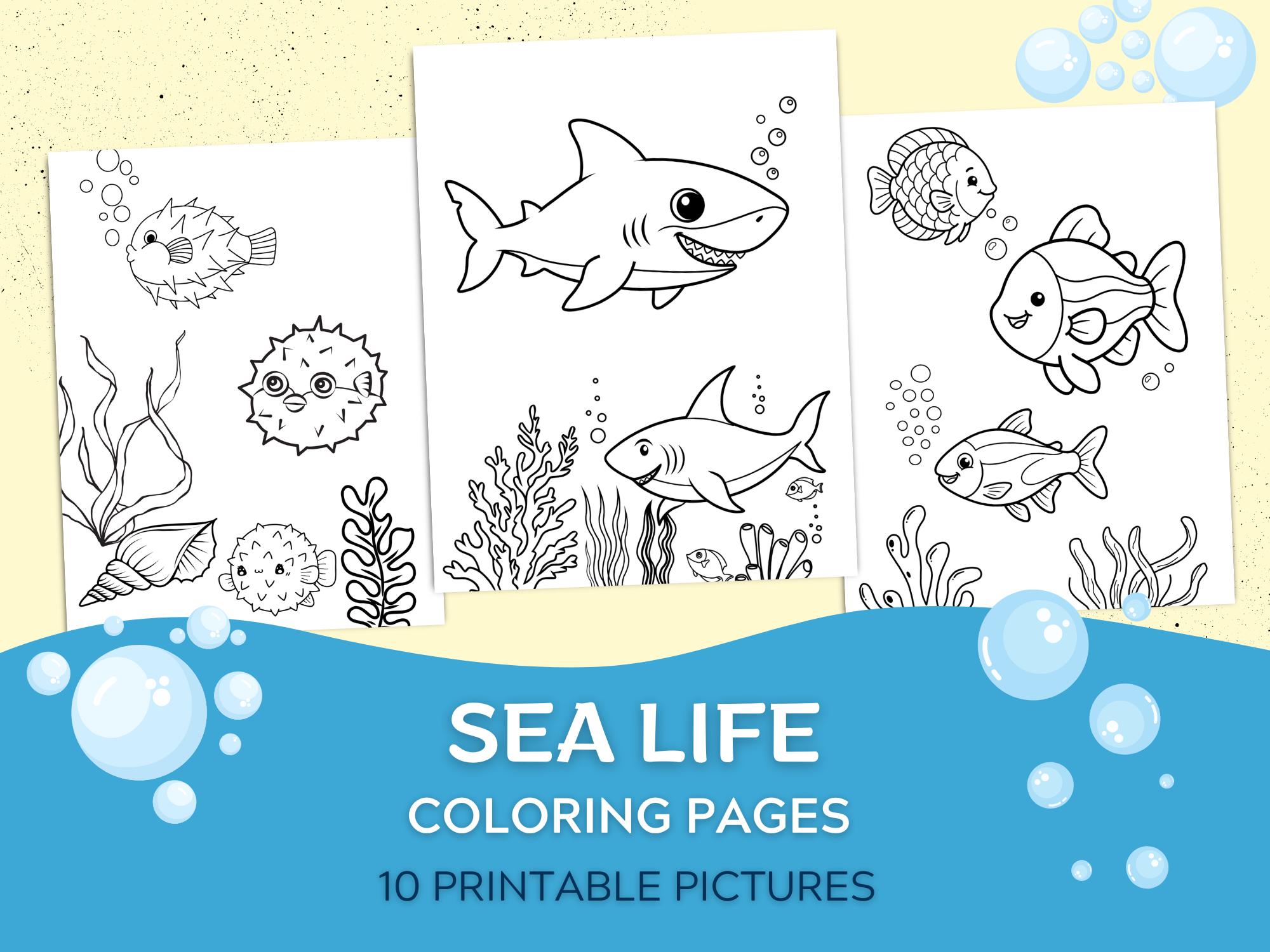 Sea Life Coloring Pages – Printable Ocean Animals for Kids (10 Pages ...