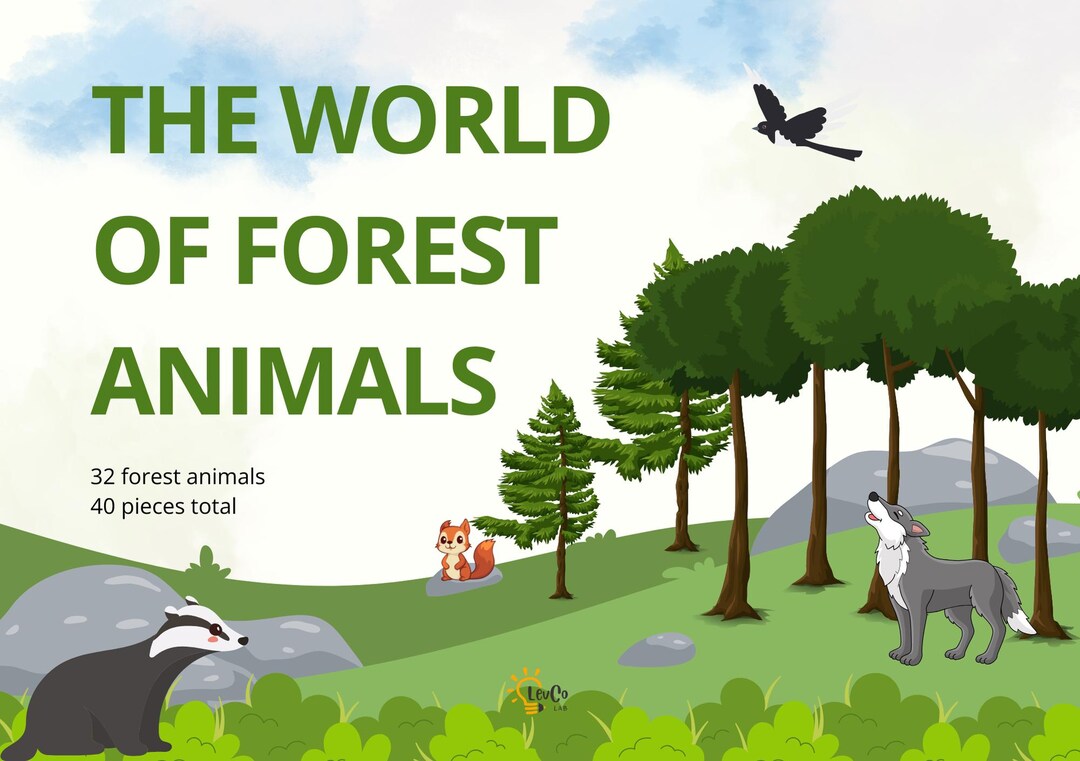 Forest Animals Printable – Busy Book PDF Set - Etsy