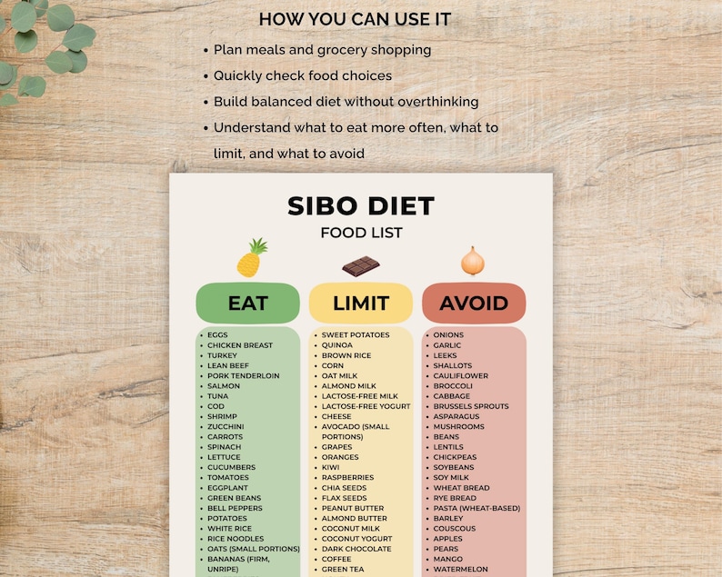 Sibo Diet Food List Printable, Sibo Diet Grocery List PDF, Gut Friendly ...