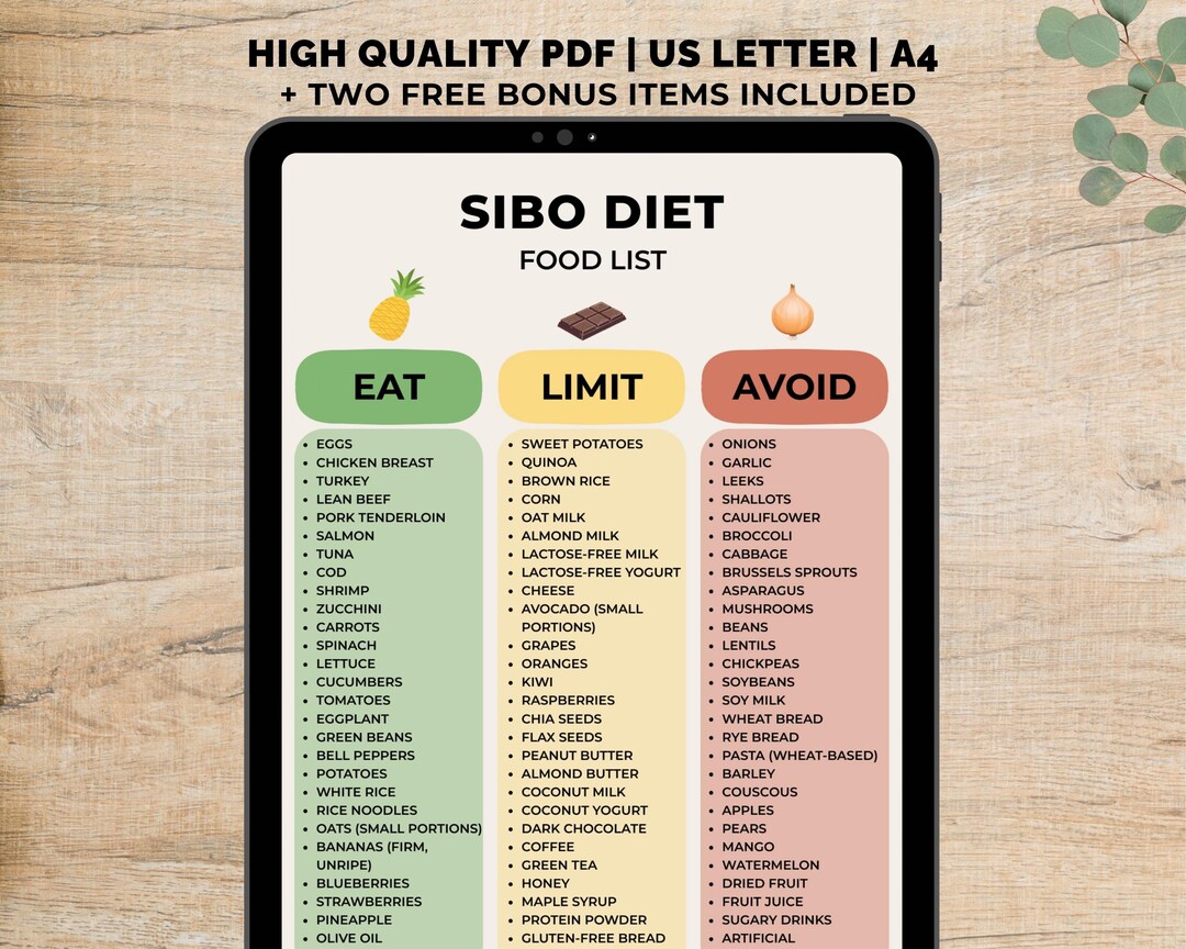 Sibo Diet Food List Printable, Sibo Diet Grocery List PDF, Gut Friendly ...