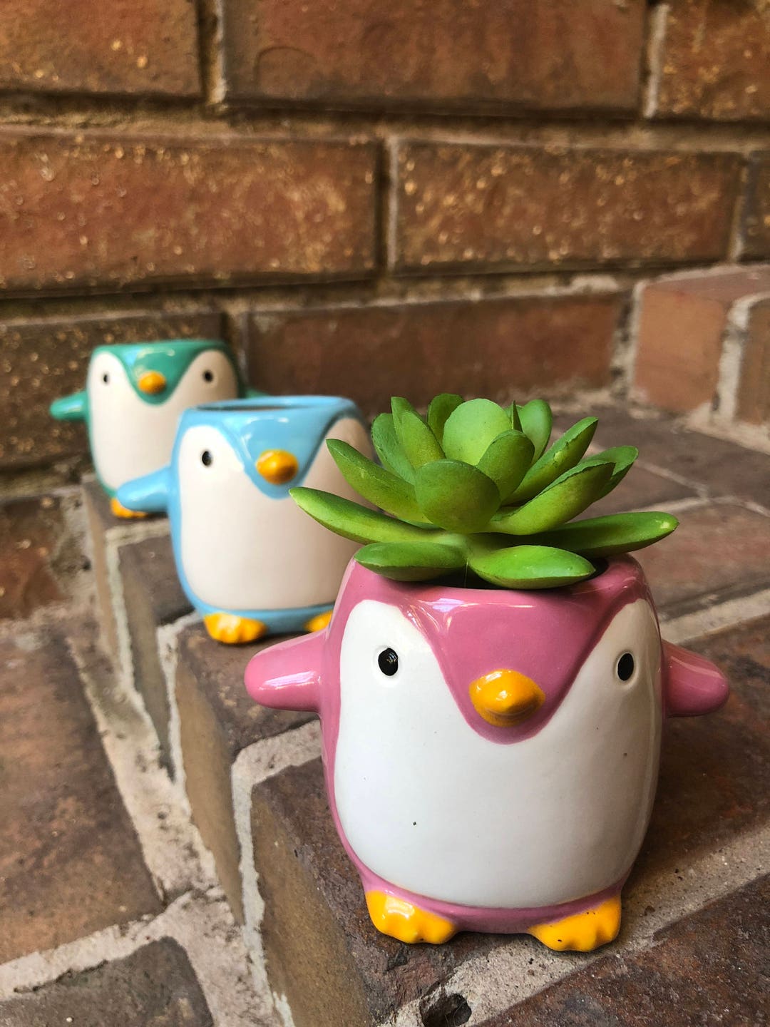 Penguin Succulent Planter - Etsy