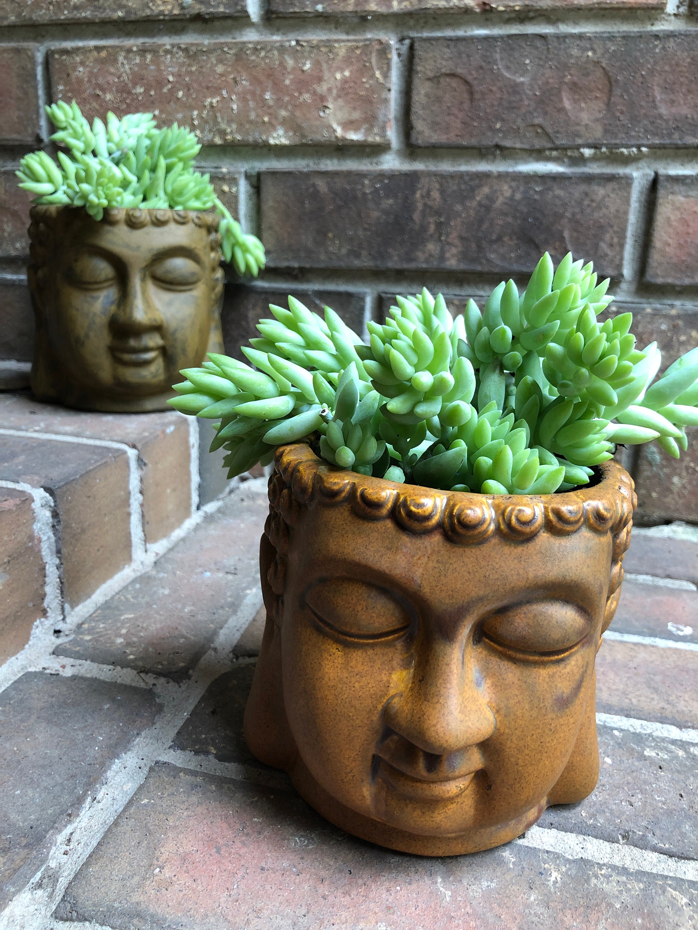 Buddha Planter - Etsy