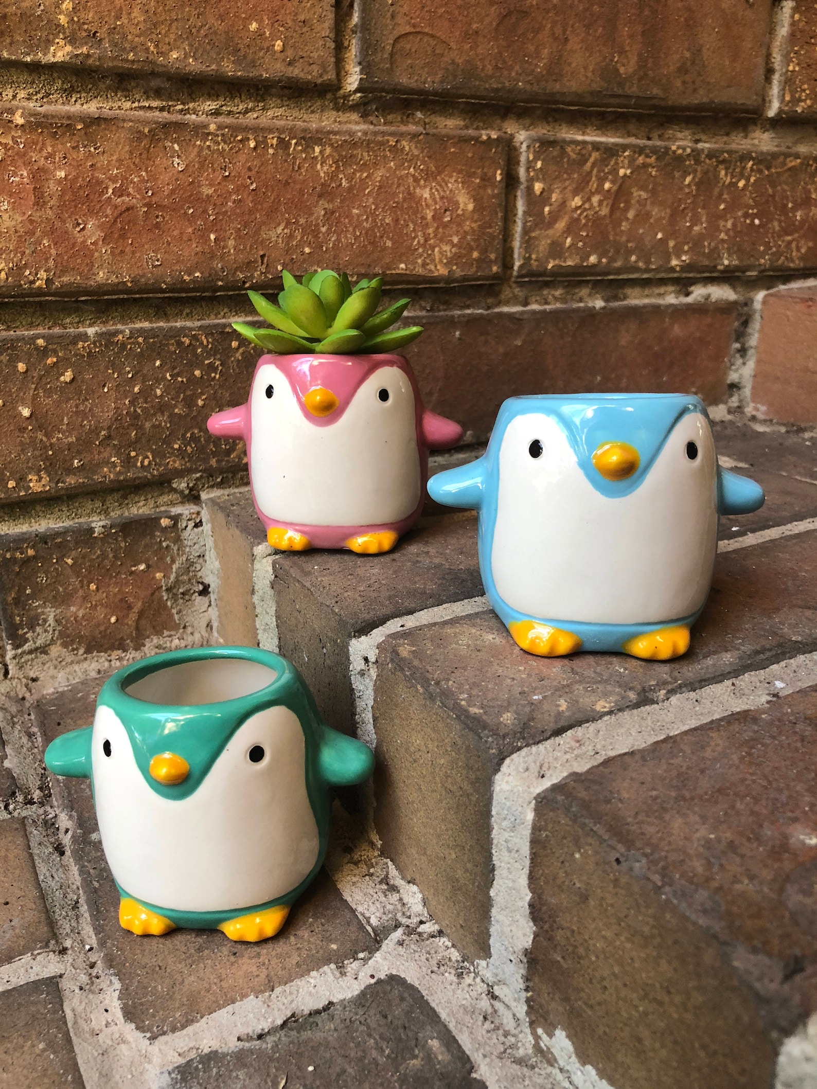 Penguin Succulent Planter - Etsy