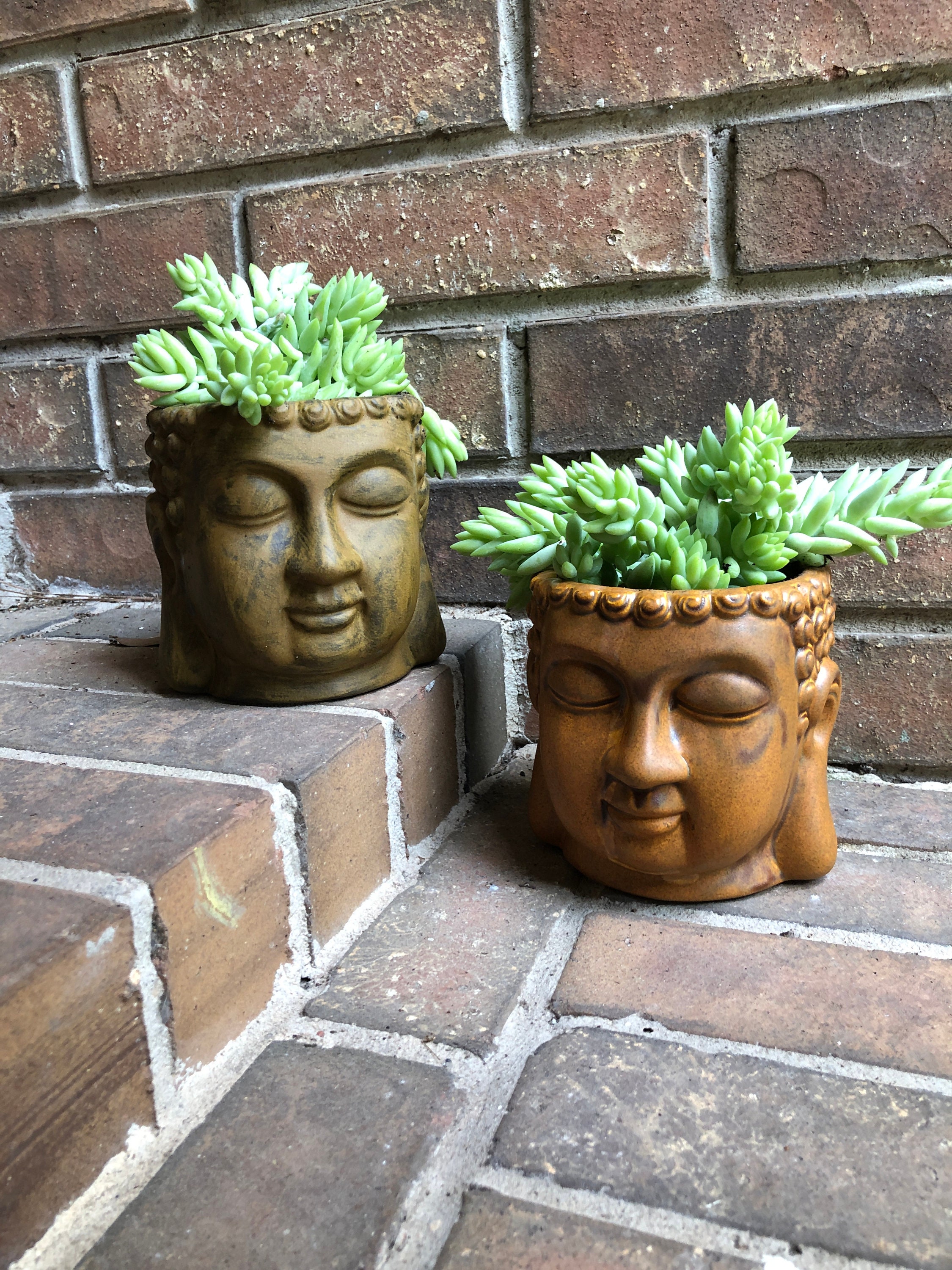 Buddha Planter | Etsy