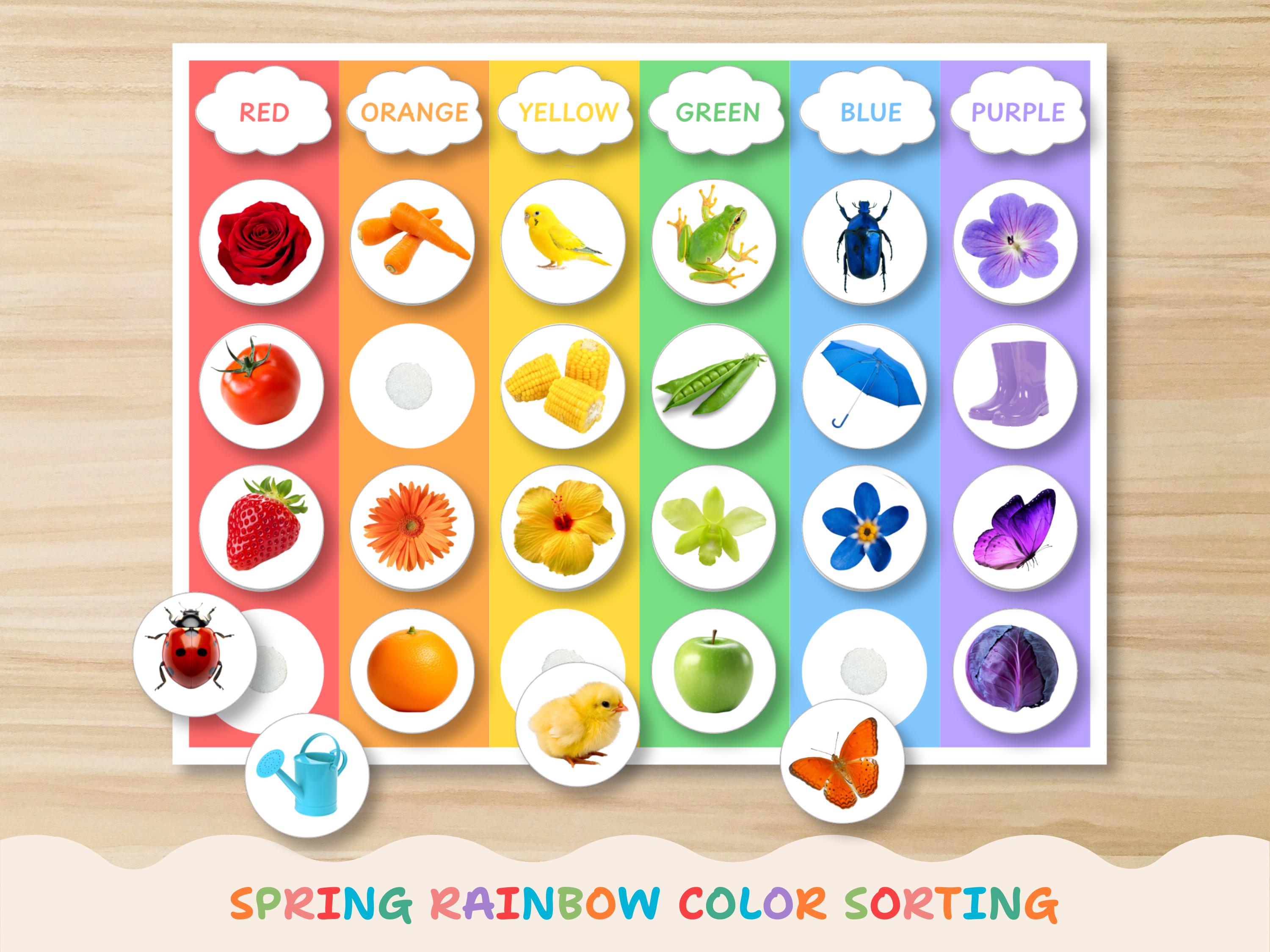 Spring Rainbow Color Sorting Activity for Preschool, Color Matching ...