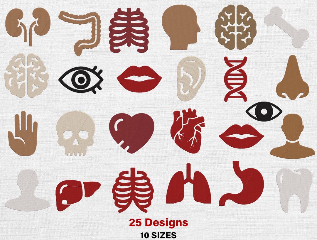 Human Anatomy Embroidery Design, Machine File (instant Download) - Etsy