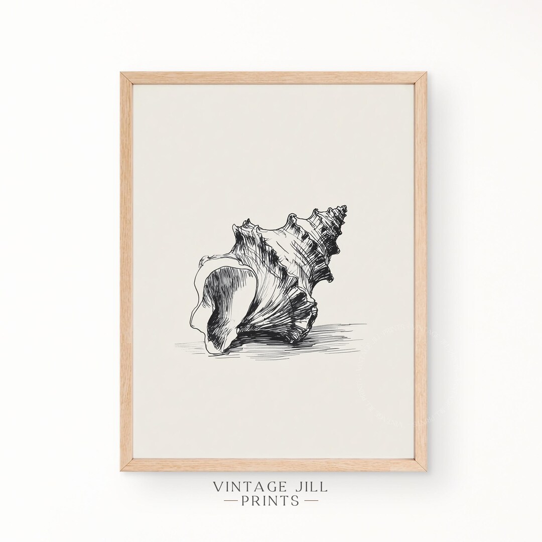 Minimalist Conch Shell Sketch Printable - Vintage Natural History Art ...