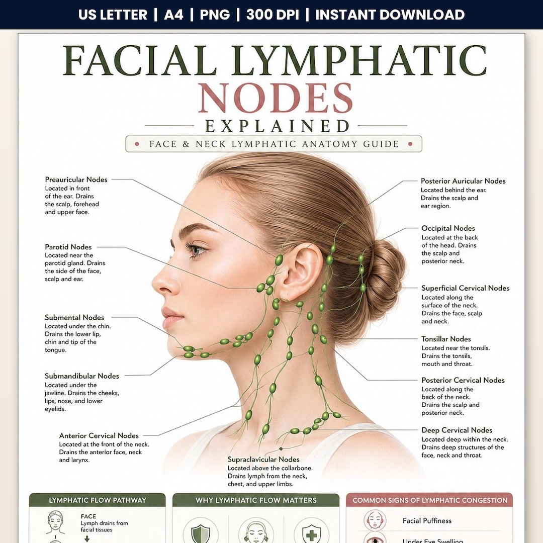 Facial Lymphatic Nodes Poster | Face & Neck Lymph Drainage Chart | Gua ...