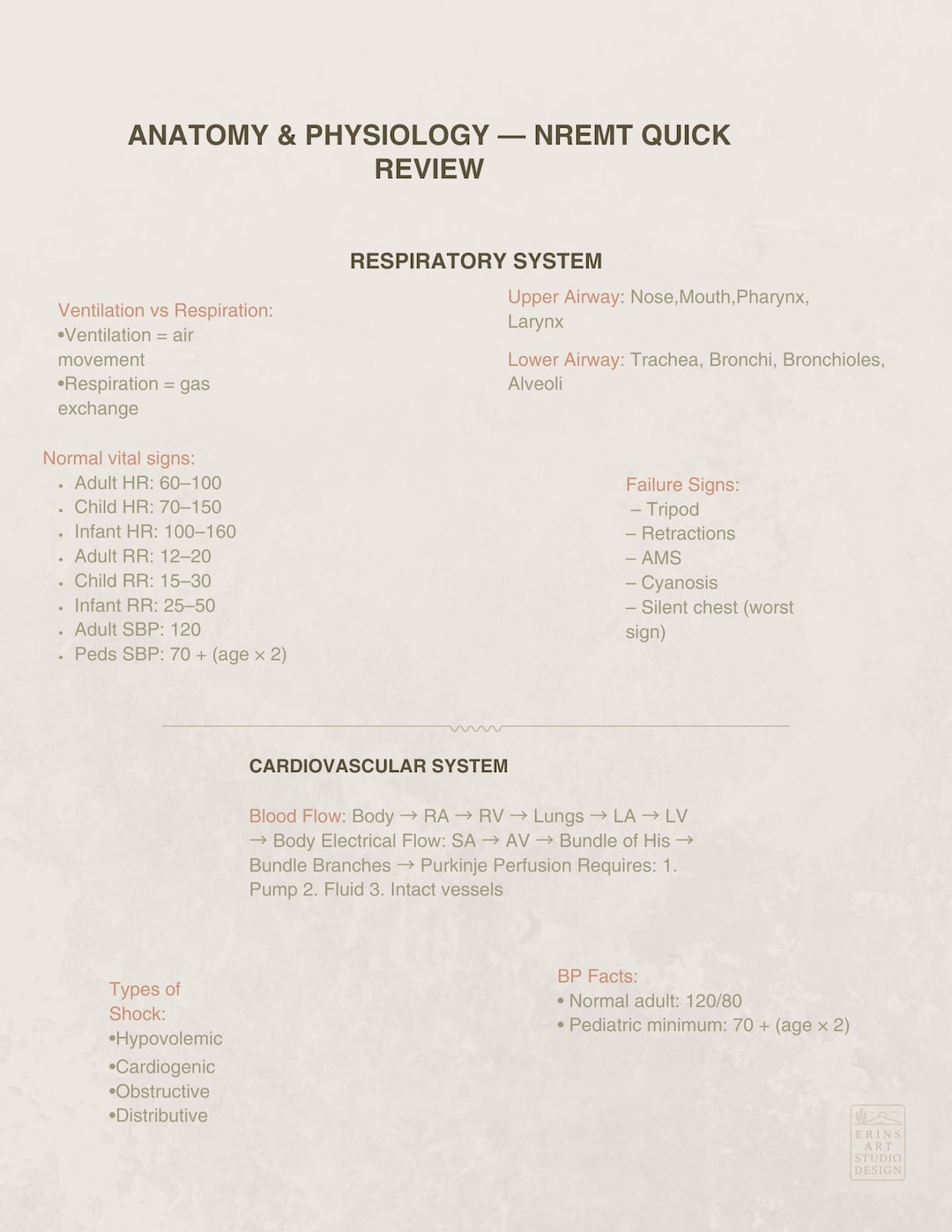 EMT Anatomy & Physiology Study Guide. - Etsy