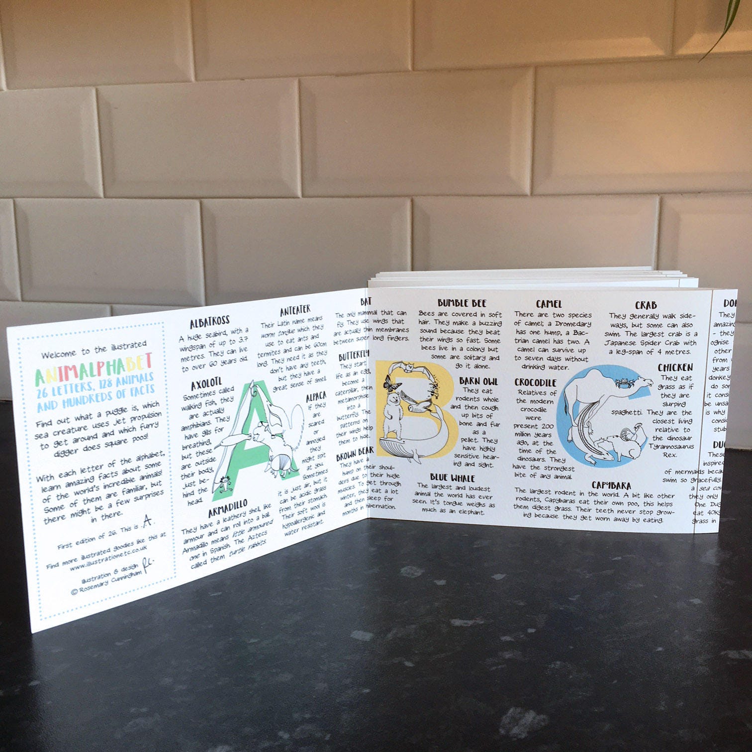 Animalphabet Concertina - 3 Metres of Illustrated Animal Alphabet - Etsy