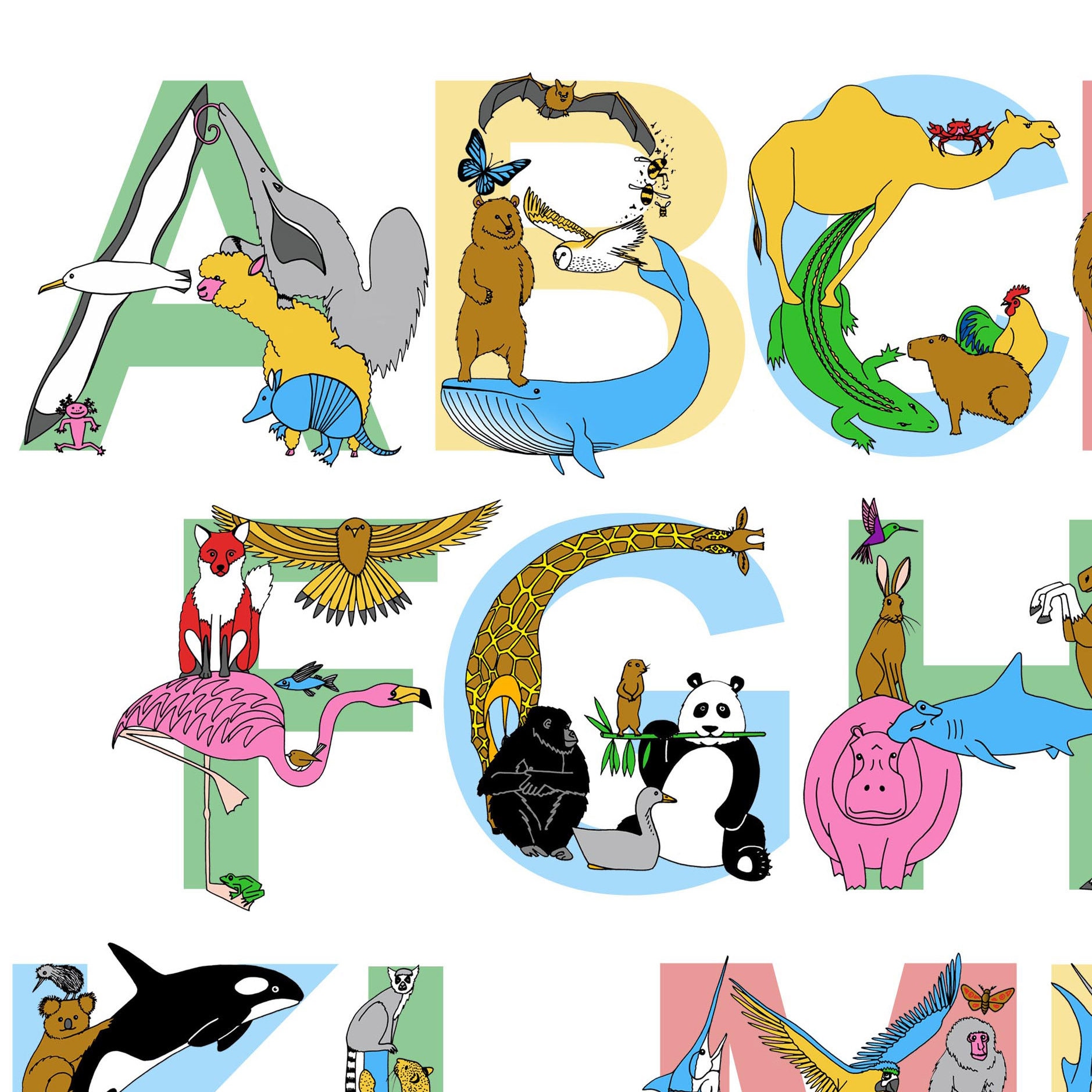 Animalphabet A3 Print - the Full Animal Alphabet - Etsy
