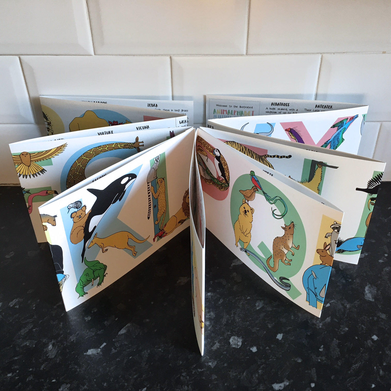 Animalphabet Concertina - 3 Metres of Illustrated Animal Alphabet - Etsy