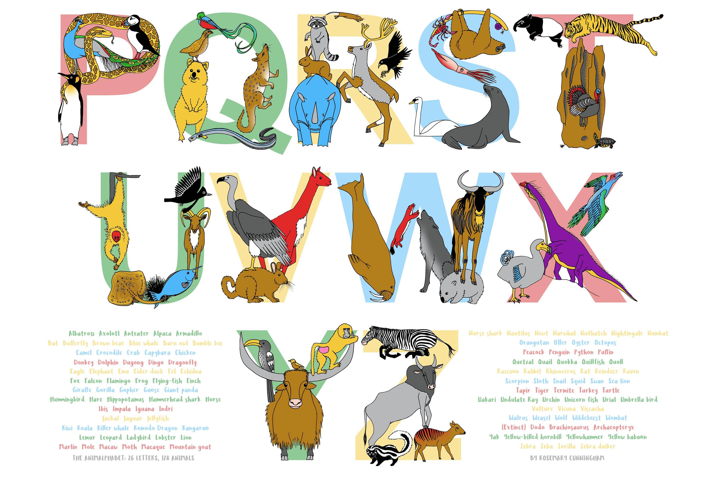 Animalphabet A3 Print - the Full Animal Alphabet - Etsy UK