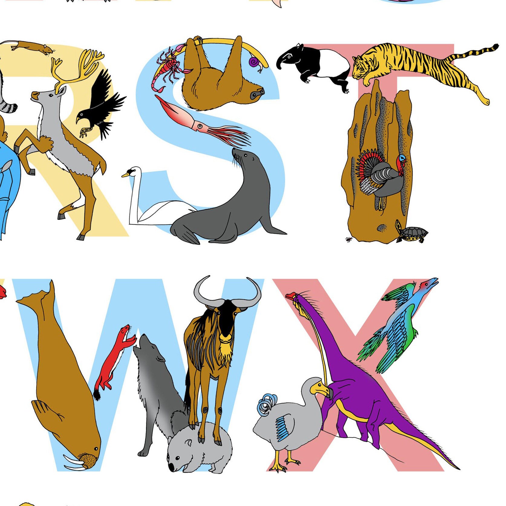 Animalphabet A3 Print - the Full Animal Alphabet - Etsy UK