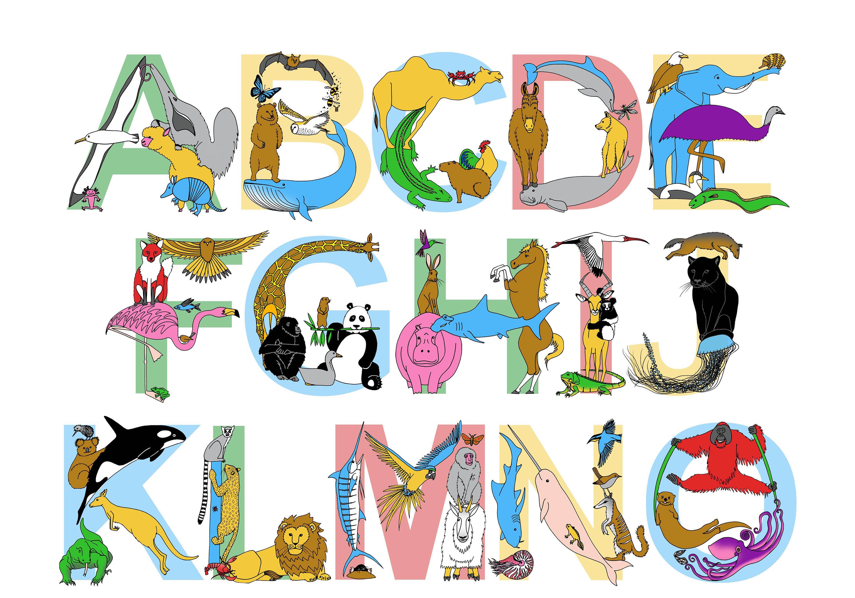 Animalphabet A3 Print - the Full Animal Alphabet - Etsy