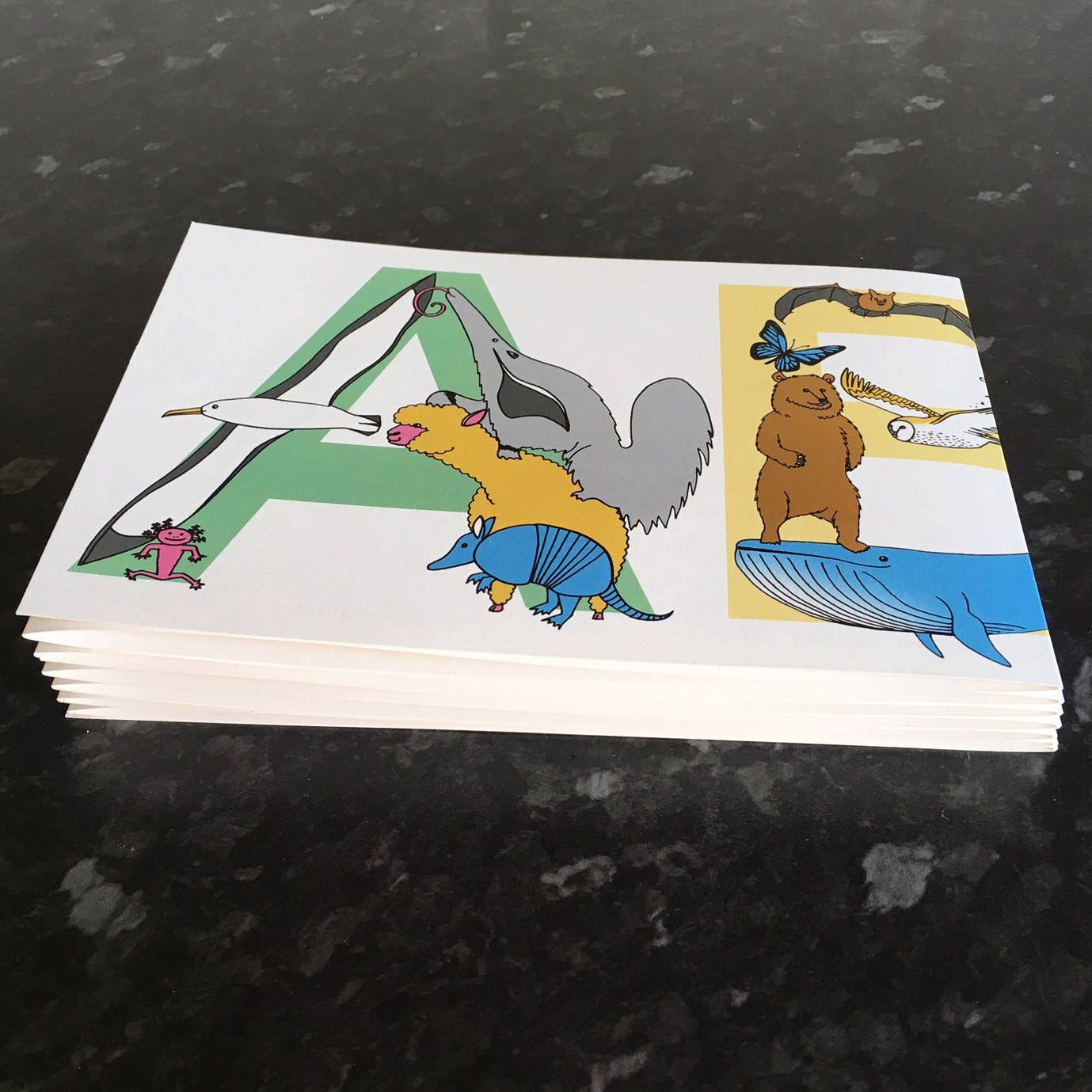 Animalphabet Concertina - 3 Metres of Illustrated Animal Alphabet - Etsy