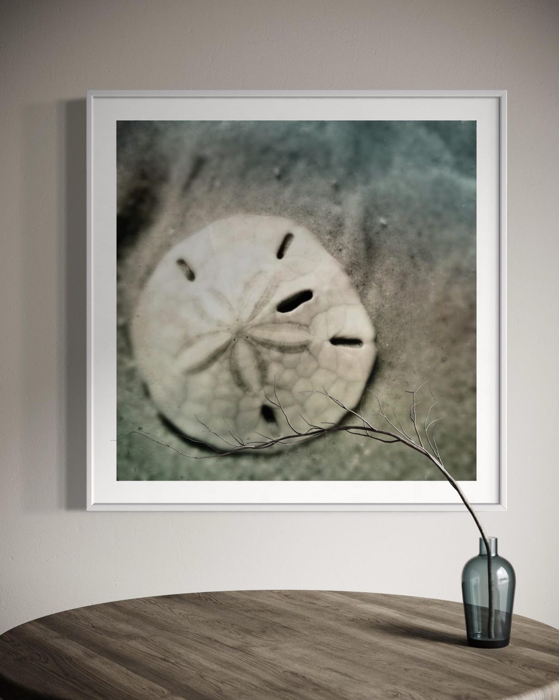 Beach Photography Download | Sand Dollar on Sandy Beach | Instant ...