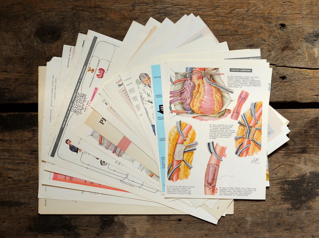 1/8 Lb of Vintage Medical / Anatomical Book Pages for Scrapbooking ...