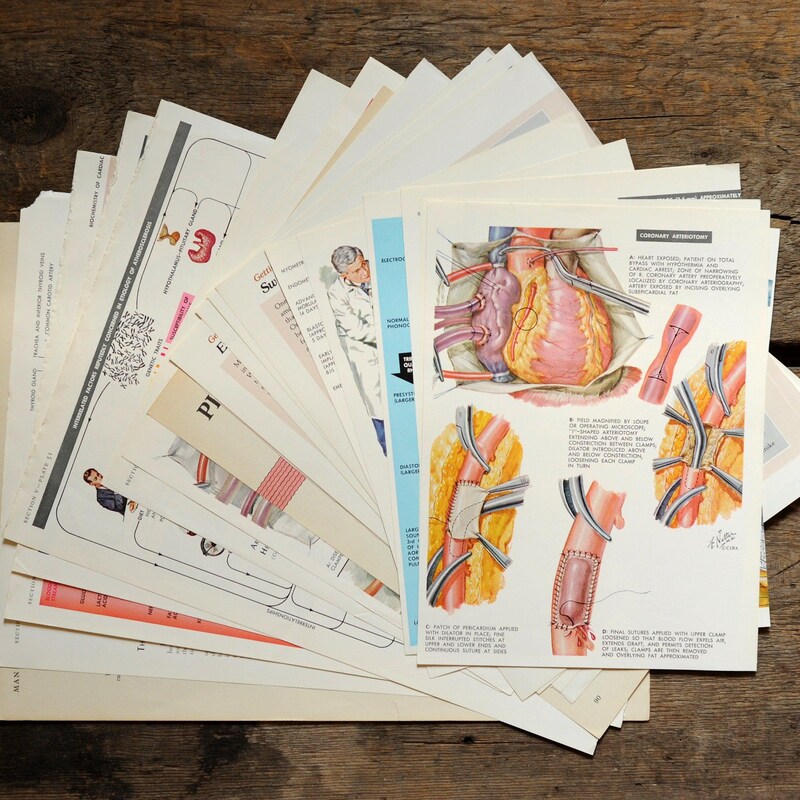 Medical Illustration - Etsy