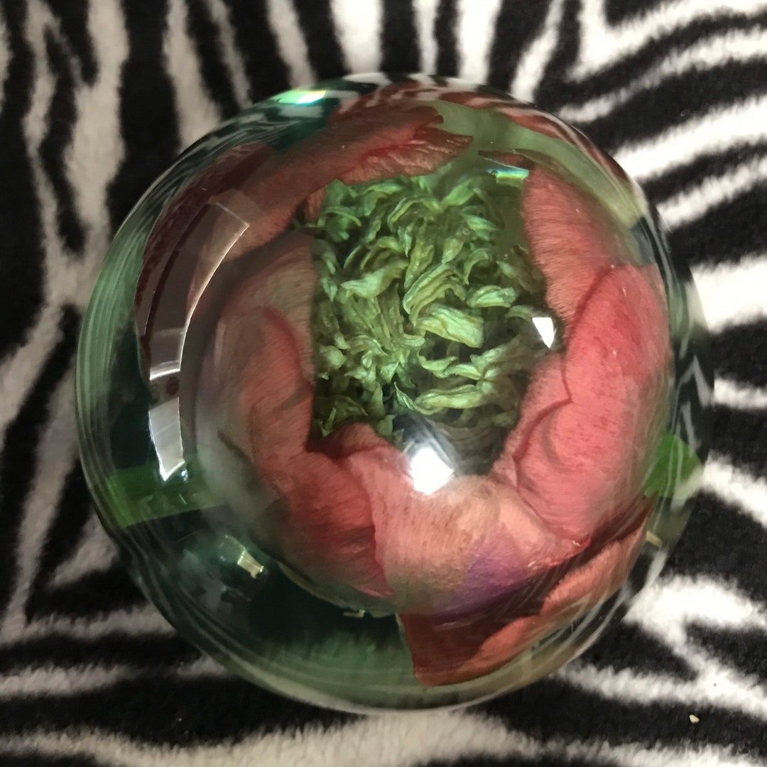 Vintage Lucite Floral Paperweight - 1960s Flower Collectible - Man Cave ...