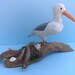 SEAGULL FOLK ART, Seagull on Driftwood, Wood Sculpture, Hand Carved ...