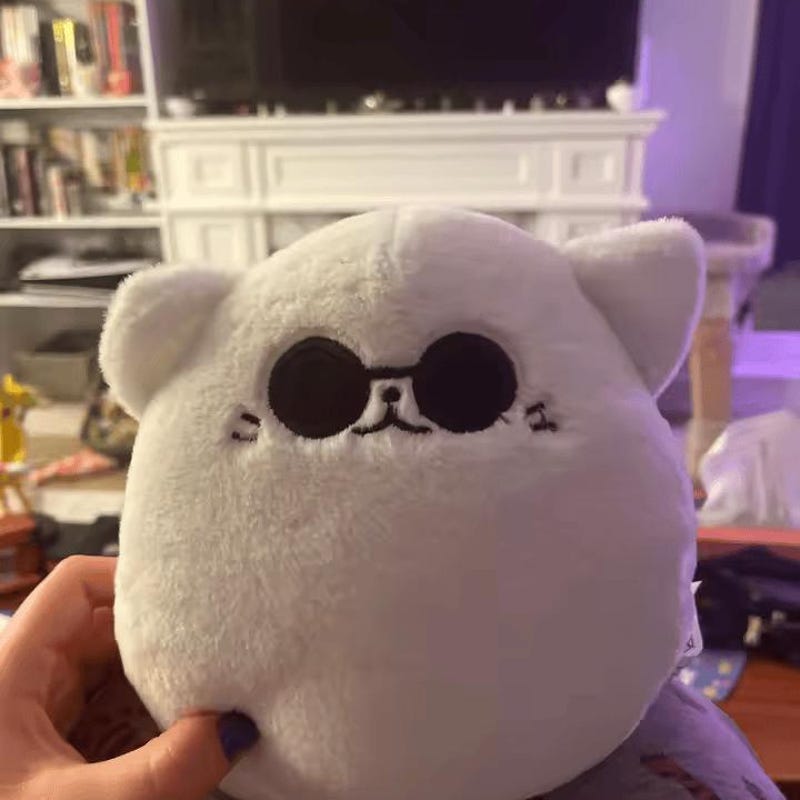 Jujutsu Kaisen Cat Plush - Etsy