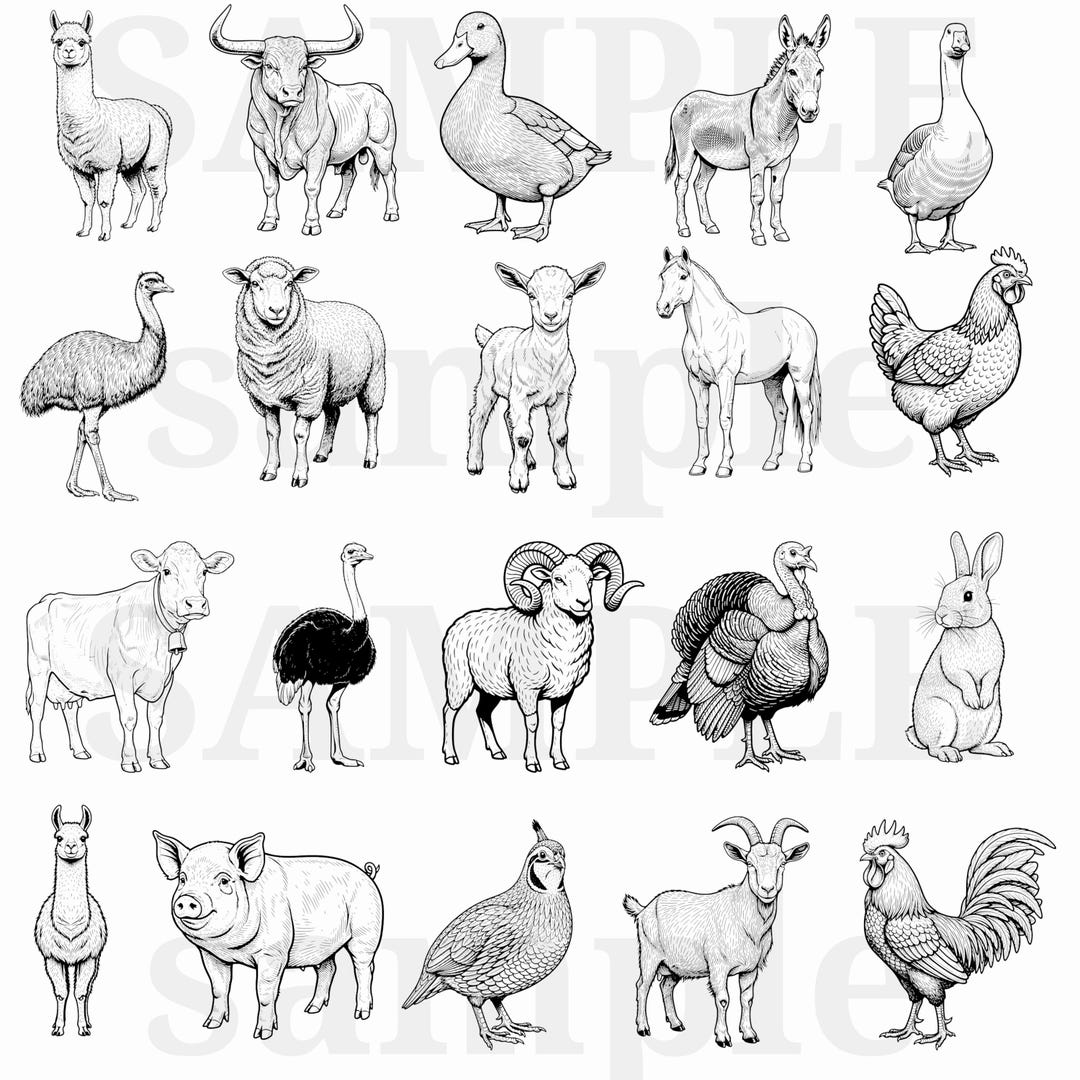 Farm Animals SVG Bundle – 20 Farm Life Paper Cutout Clipart (digital ...