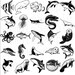 Under the Ocean - Sea Clip Art, Fish, Seaweed, Dolphin, Whale ...