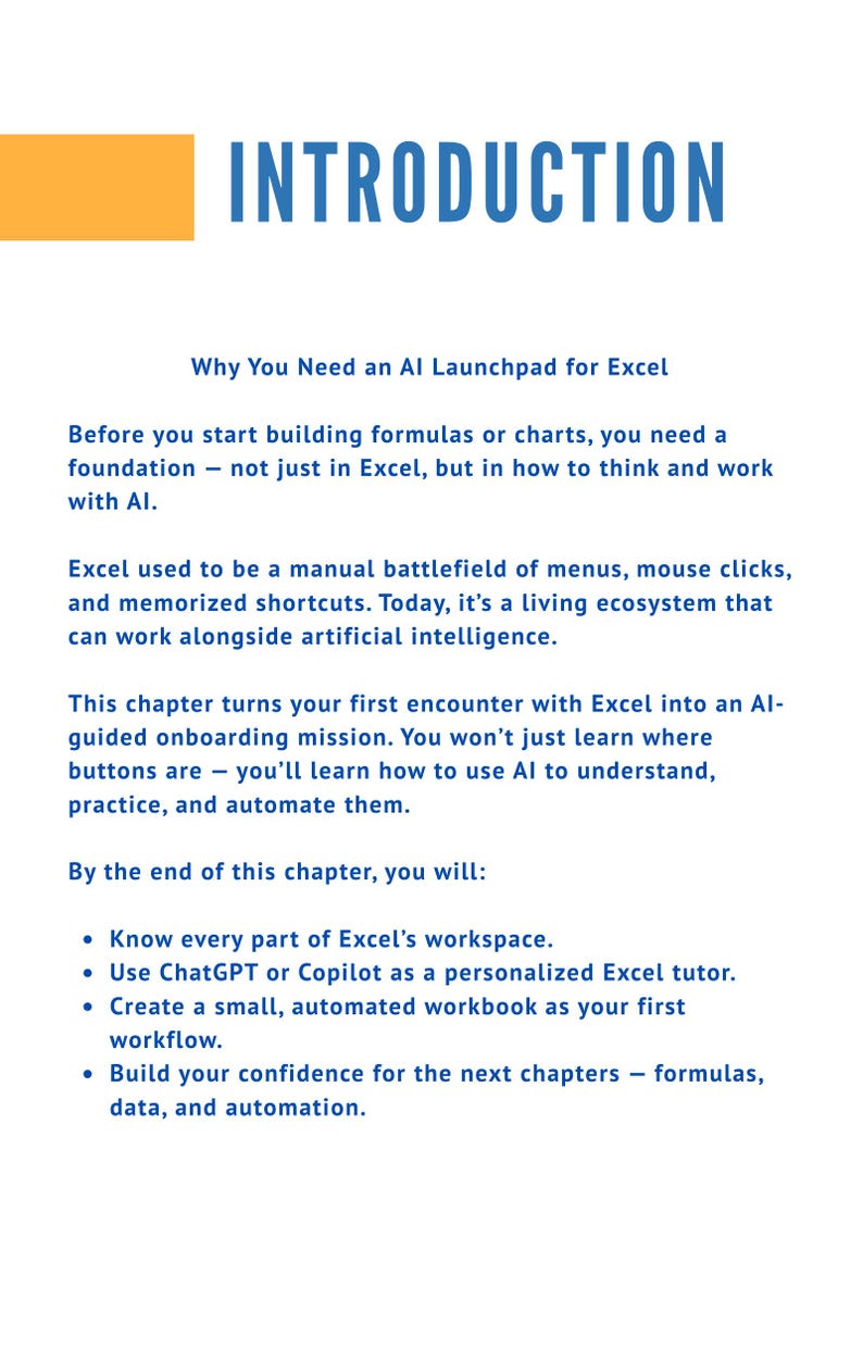 Excel for the Rest of Us: the AI Launchpad Workbook - Etsy