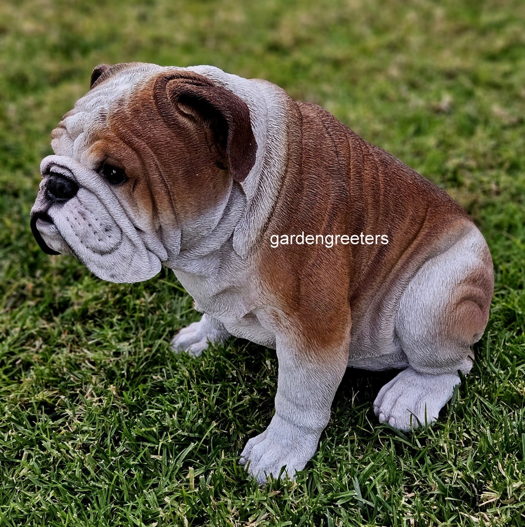 Lifesize Bulldog Statue Bulldog Figurine Dog Bulldog Large - Etsy