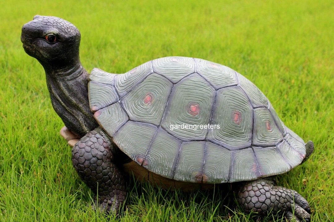 Large Turtle Statue Turtle Figurine - Etsy
